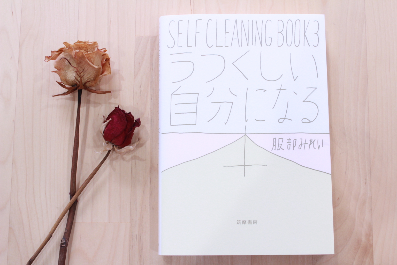 服部みれい 炎上 _ 服部みれい – RFFLMC